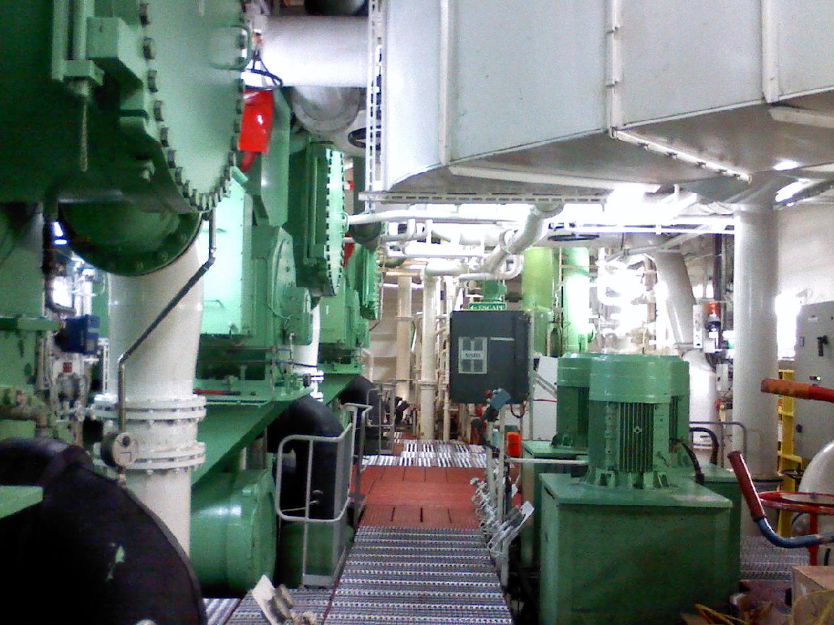 Field Analysis Project Photos